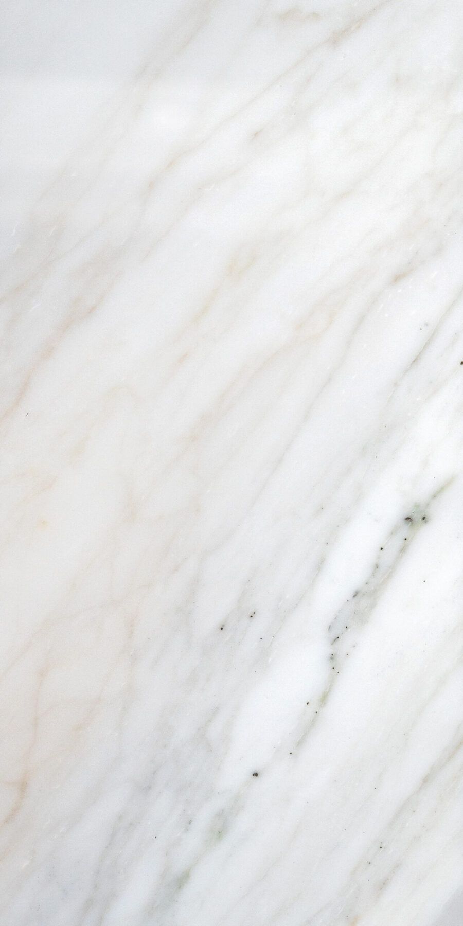 Calacatta Vision – FALCO + PETRA SURFACES
